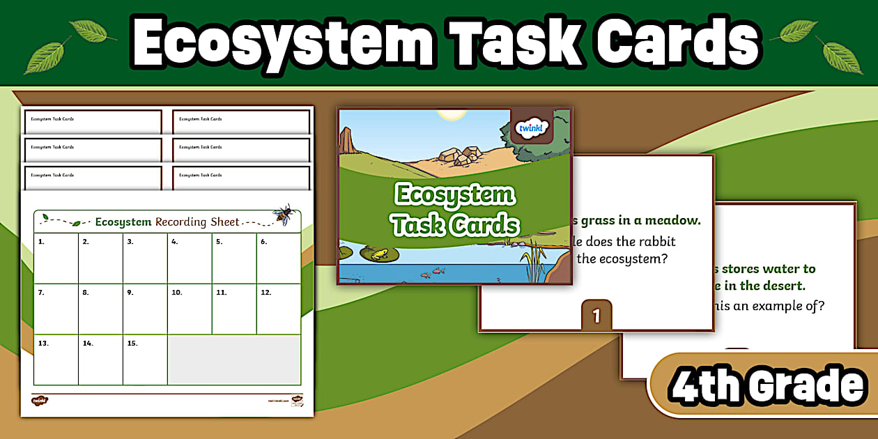Fourth Grade Ecosystem Task Cards