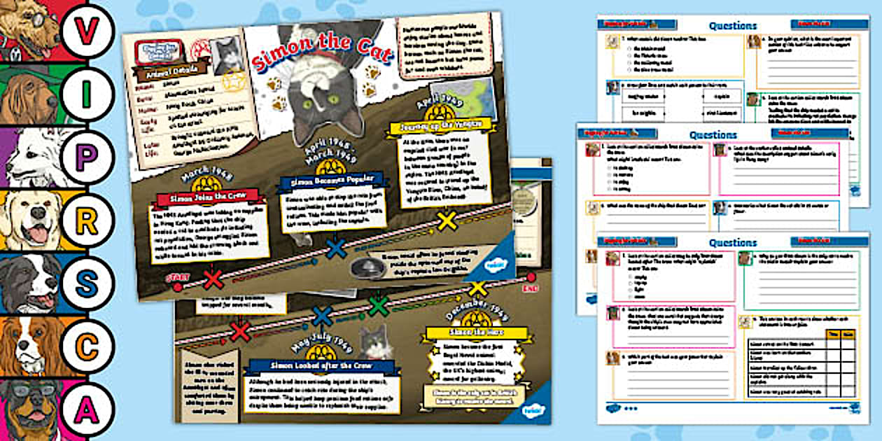 UKS2 Digging for Details: Animal Superheroes: Simon the Cat