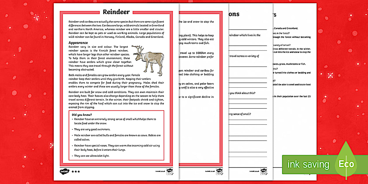 Middle Ability KS2 Differentiated Reindeer Reading Comprehension Activity