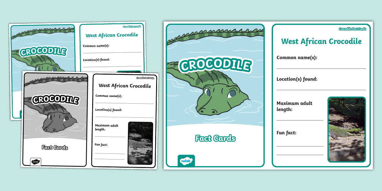 Crocodile Fact Cards Template (Teacher-Made) - Twinkl