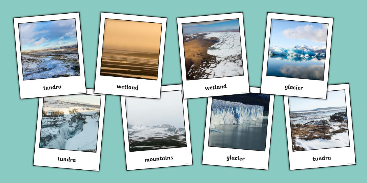 Polar Habitats Instant Photo Style Display Images - Twinkl