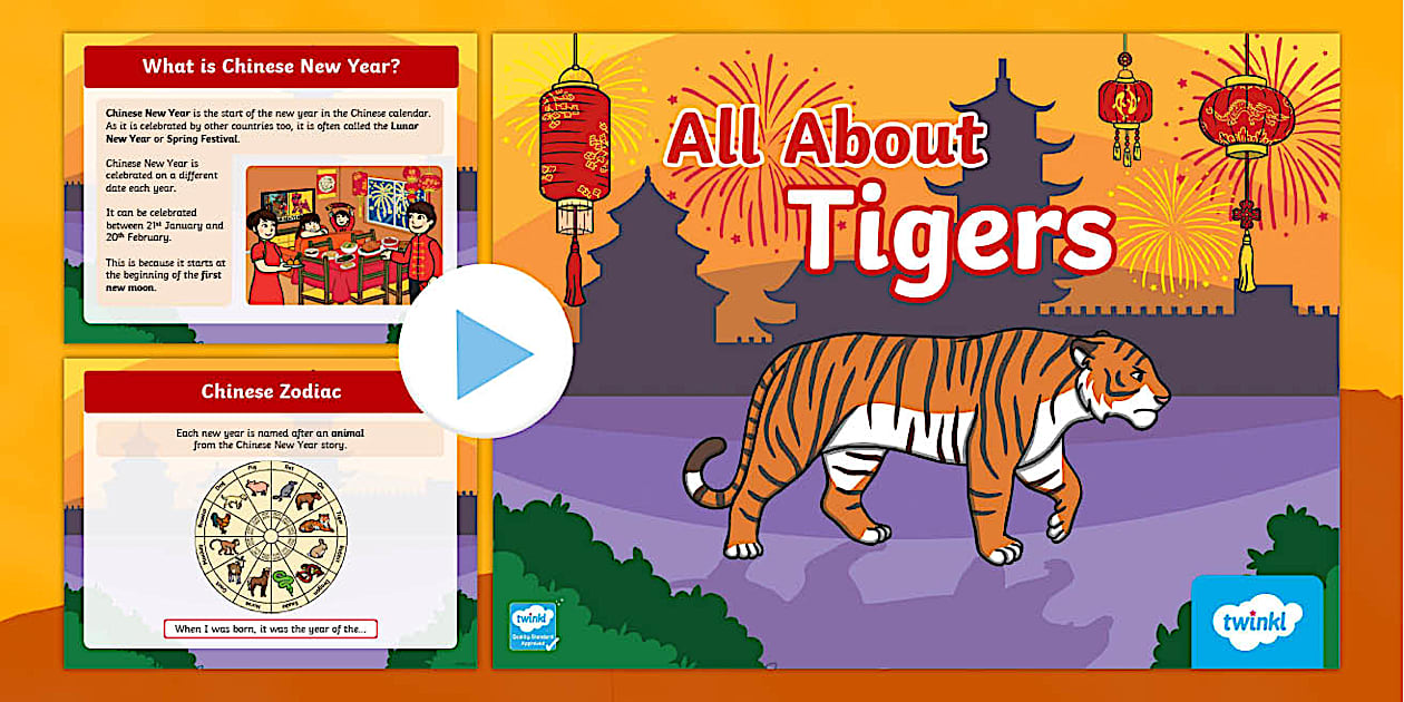 EYFS All About Tigers Chinese New Year PowerPoint - Twinkl
