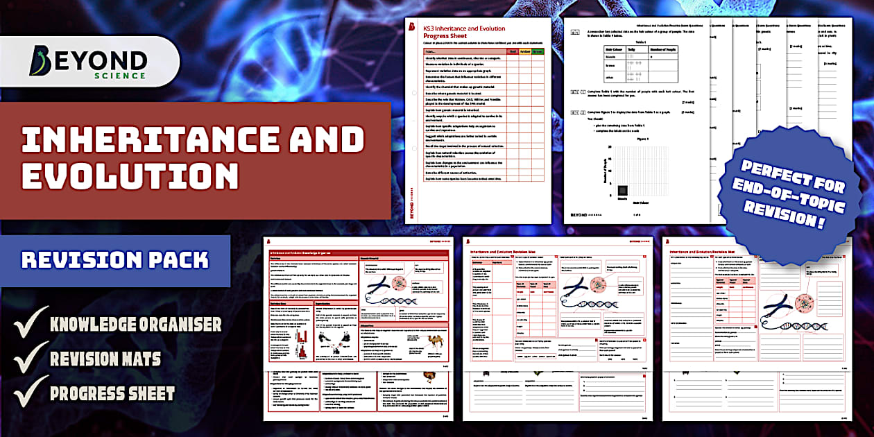 Genetics Assessment Package | Biology | Beyond Secondary