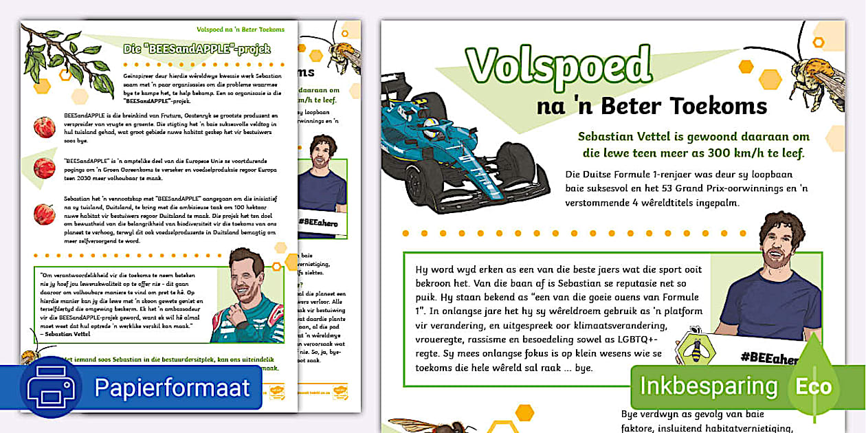 Graad 9 Afrikaans Eerste Addisionele Taal Begripstoets - EAT