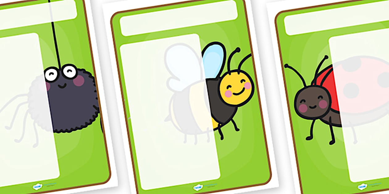 Editable Minibeasts Themed Target Posters (teacher made)