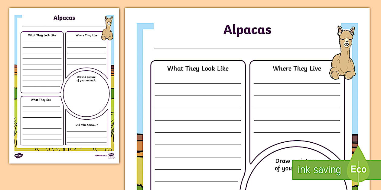QLD Alpaca Information Report Writing Template - Twinkl