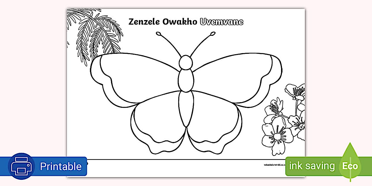Zenzele Owakho Uvemvane Ishidi Lokufaka Umbala - Twinkl