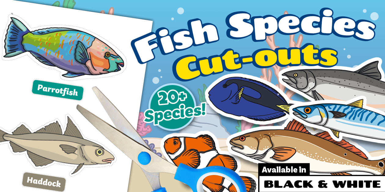 Fish Species Cut-Outs