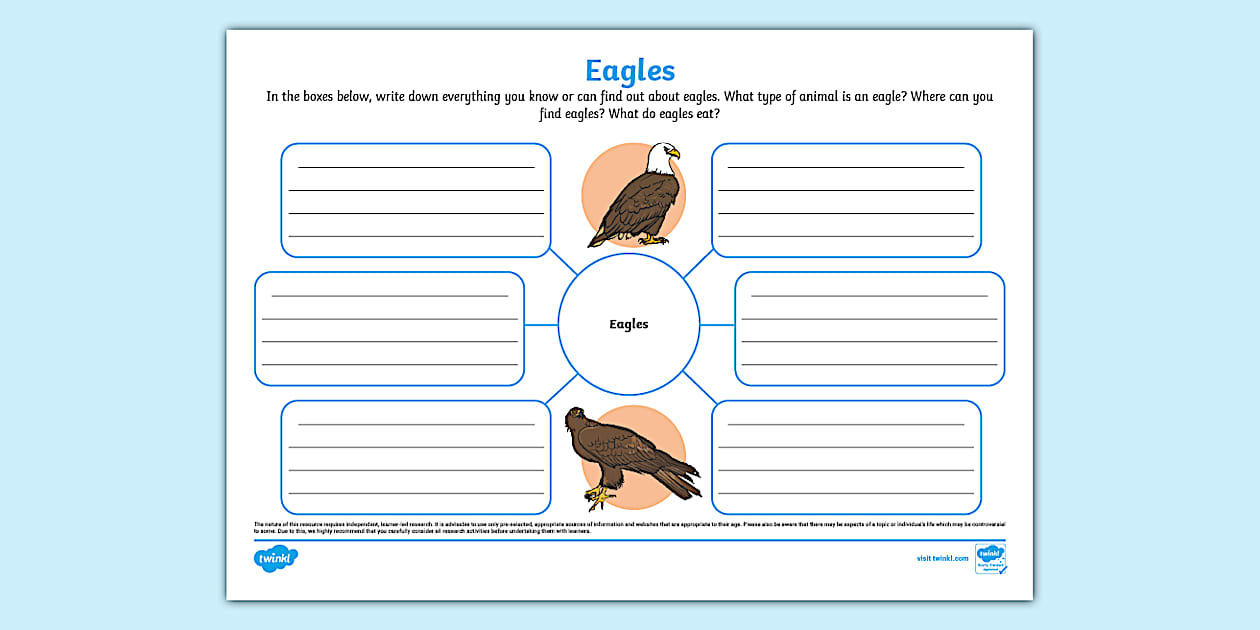 Eagles Mind Map (teacher made) - Twinkl