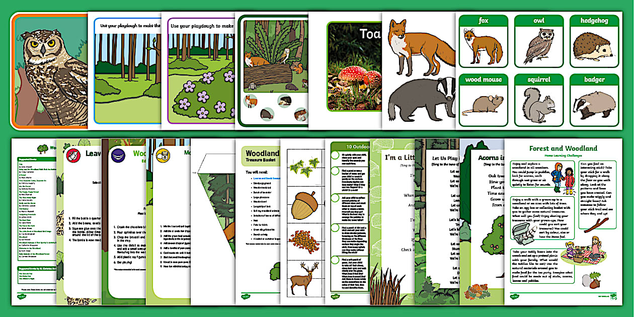 EYFS Ages 2-3 Forest and Woodland Resource Pack - Twinkl