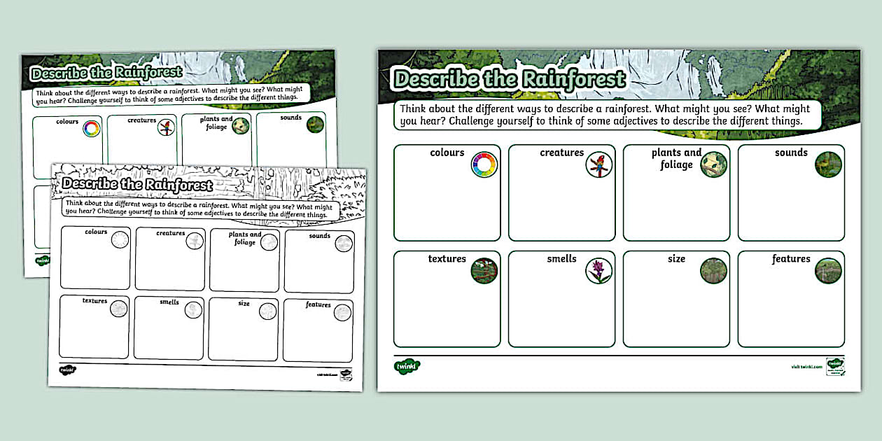Rainforest Adjectives Worksheet (teacher made) - Twinkl
