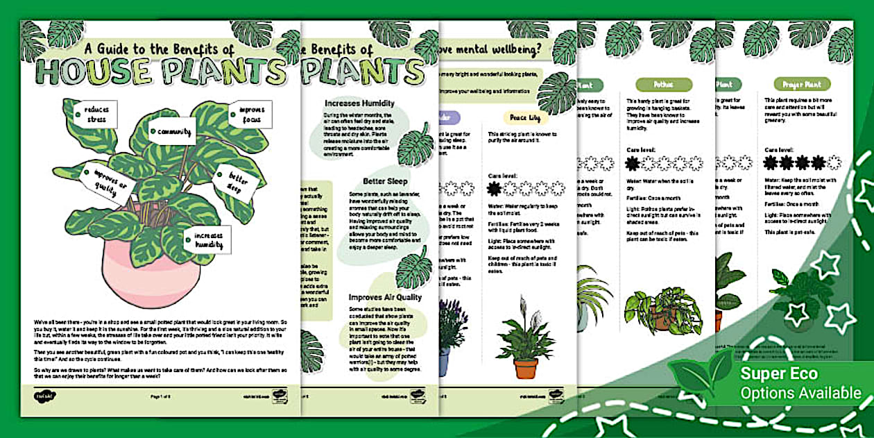 Benefits of House Plants (teacher made) - Twinkl