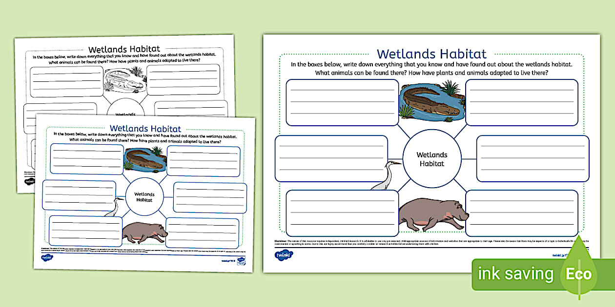 Wetlands Habitat Mind Map (Teacher-Made) - Twinkl