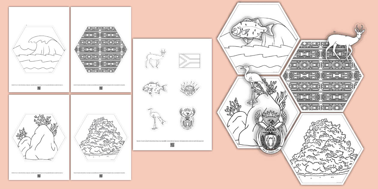 National Symbols of South Africa Hexagon Colouring Display