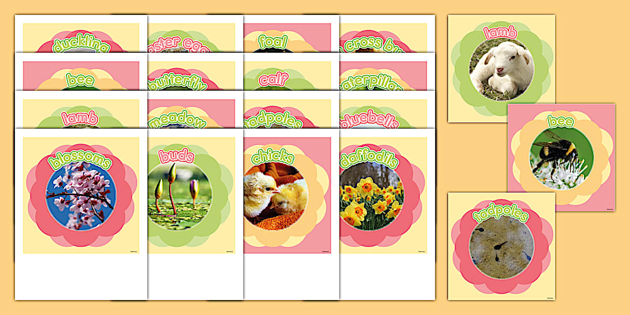 Signs of Spring Photo Cutouts (teacher made) - Twinkl