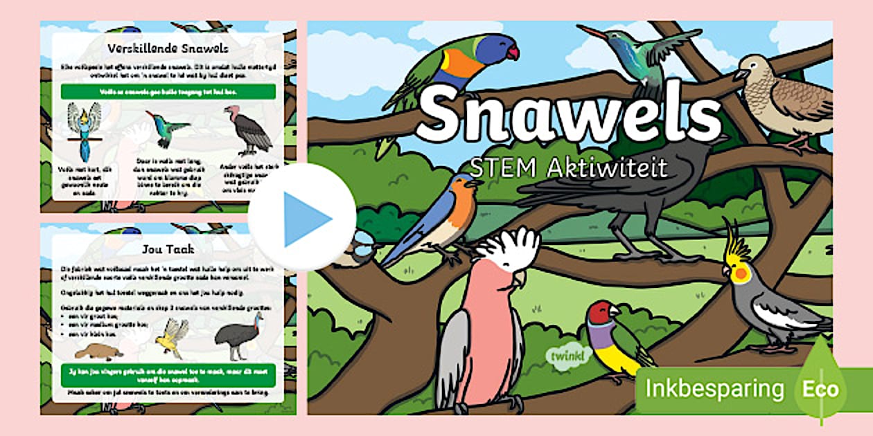 Snawels Van Voëls STEM PowerPoint - Twinkl
