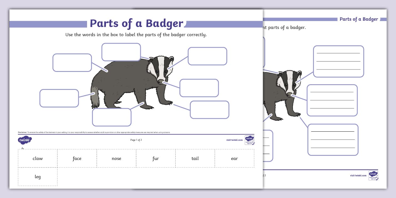 Parts of a Badger Labelling Activity - Twinkl