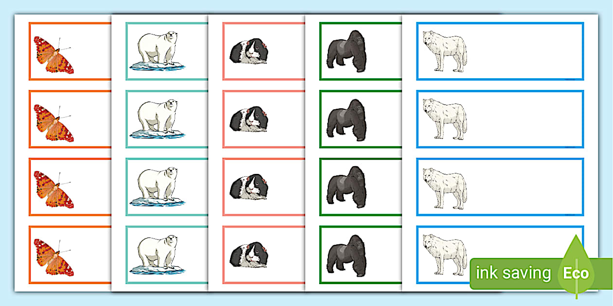 Animal Name Tags (teacher made) - Twinkl