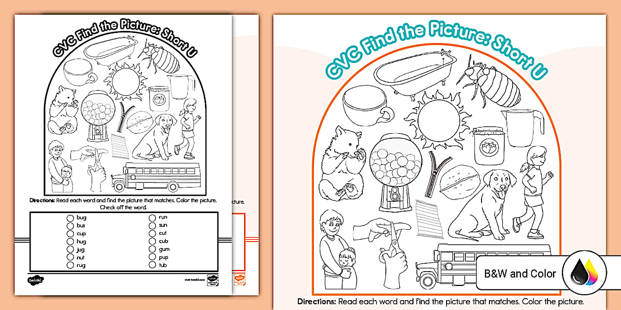 CVC Find the Picture: Short U (teacher made) - Twinkl