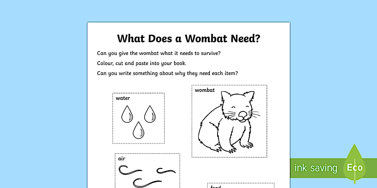 Wombat Worksheets - What Does a Wombat need? (Teacher-Made)