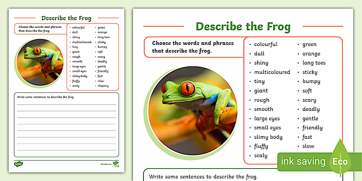 Describe the Frog Writing Activity Sheet,frog (teacher made)