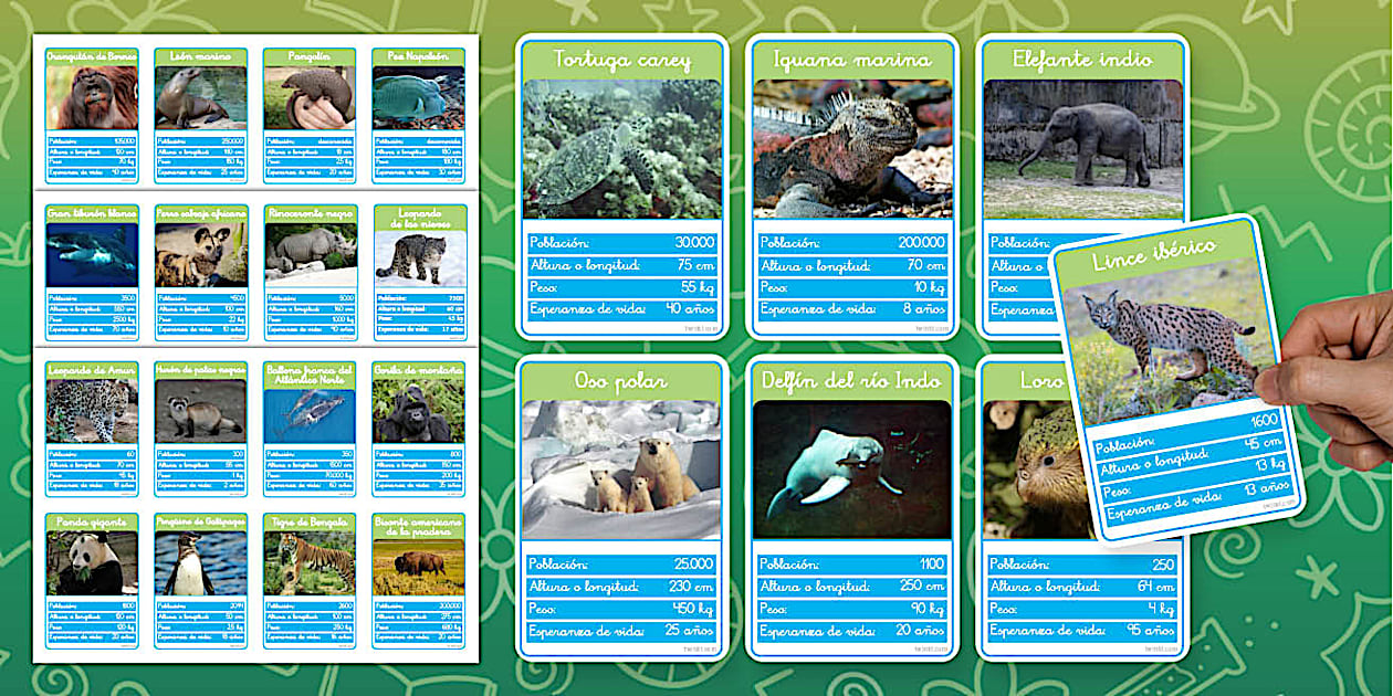 Juego de cartas: Animales en peligro de extinción - Twinkl