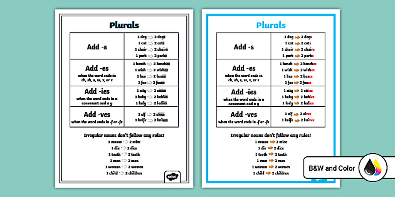 Making Plurals Poster for ELL (teacher made) - Twinkl