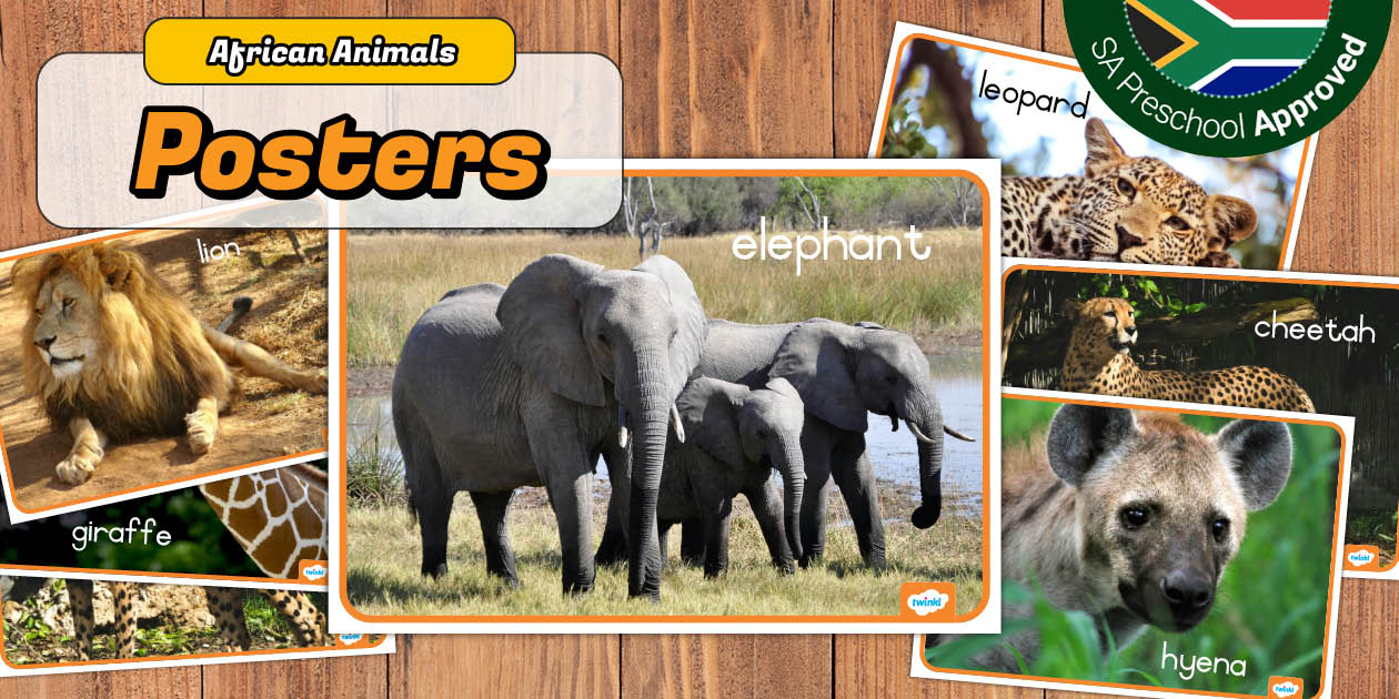 Preschool Themes - African Animals - Posters