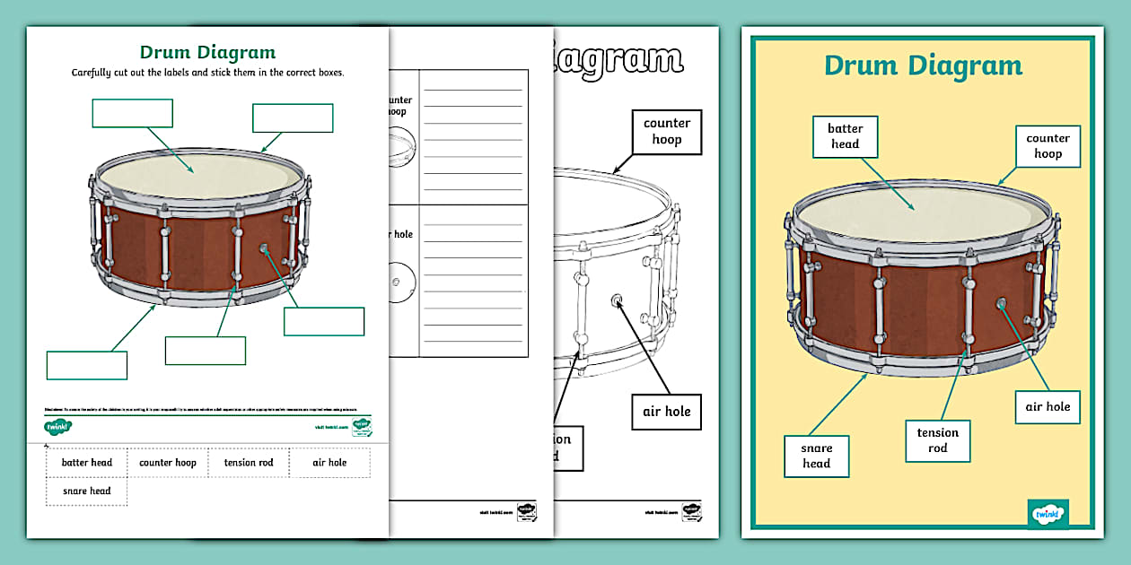 👉 Drum Diagram Pack (teacher made) - Twinkl