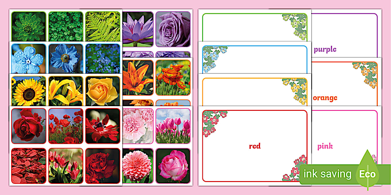 Flowers and Plants Colour Sorting Picture Activity - Twinkl