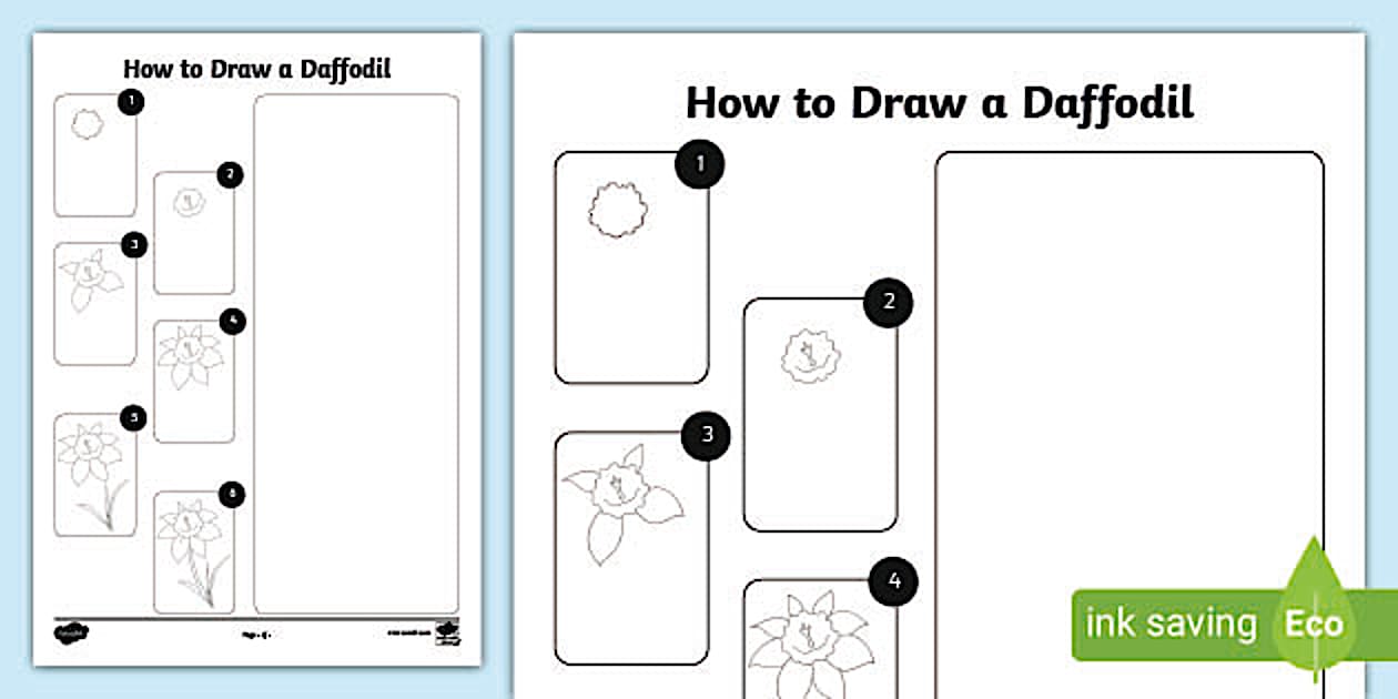 How to Draw a Daffodil | Daffodil Drawing (teacher made)