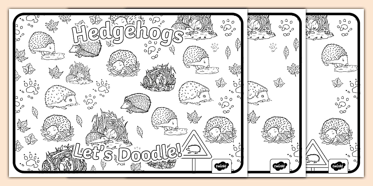 Hedgehog Doodle Colouring Pages - Wildlife - KS1 - Twinkl