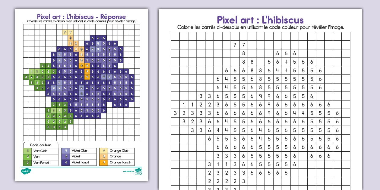 Pixel art : L'hibiscus - Twinkl Pixel Art - Twinkl