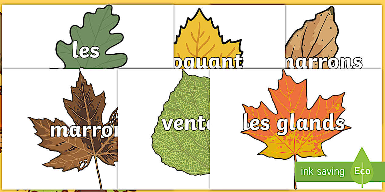 Posters d'affichage : Feuilles de vocabulaire sur l'automne