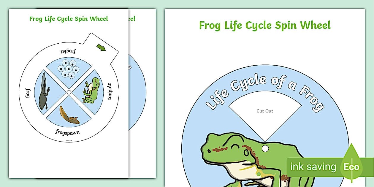 Editable Frog Life Cycle Spin Wheel (teacher made) - Twinkl