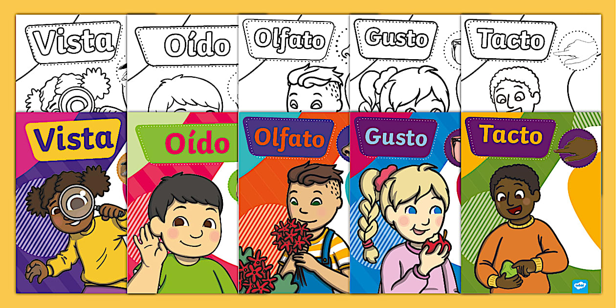 Imágenes de los 5 sentidos para imprimir | Twinkl