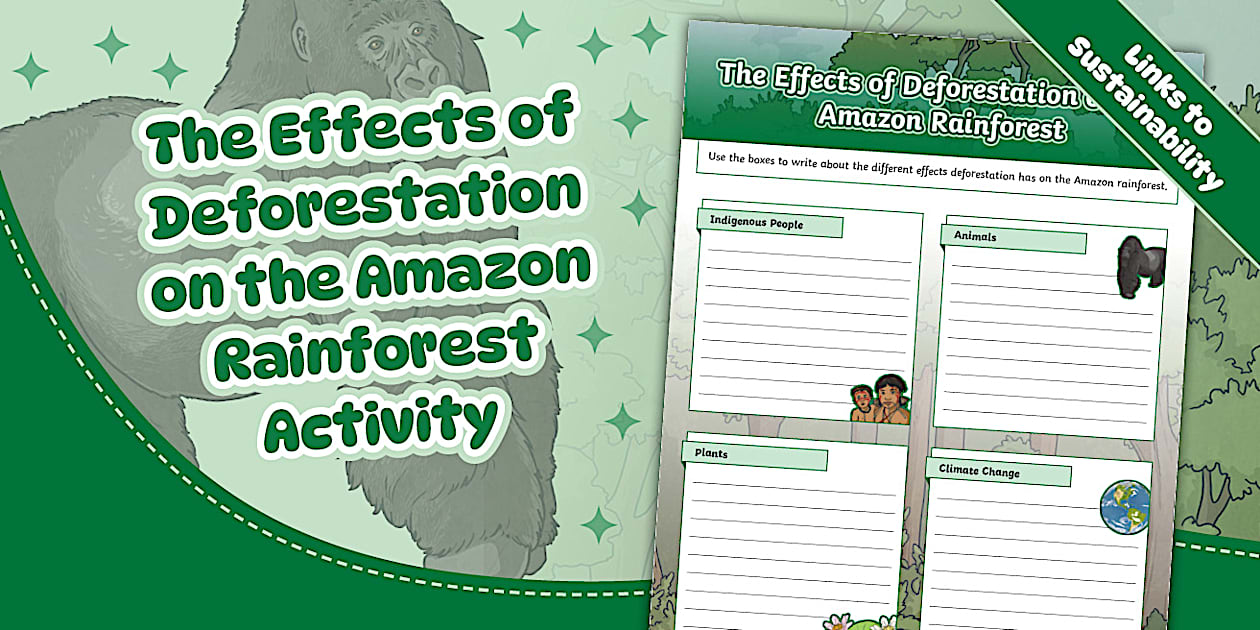 The Effects of Deforestation on the Amazon Rainforest Activity