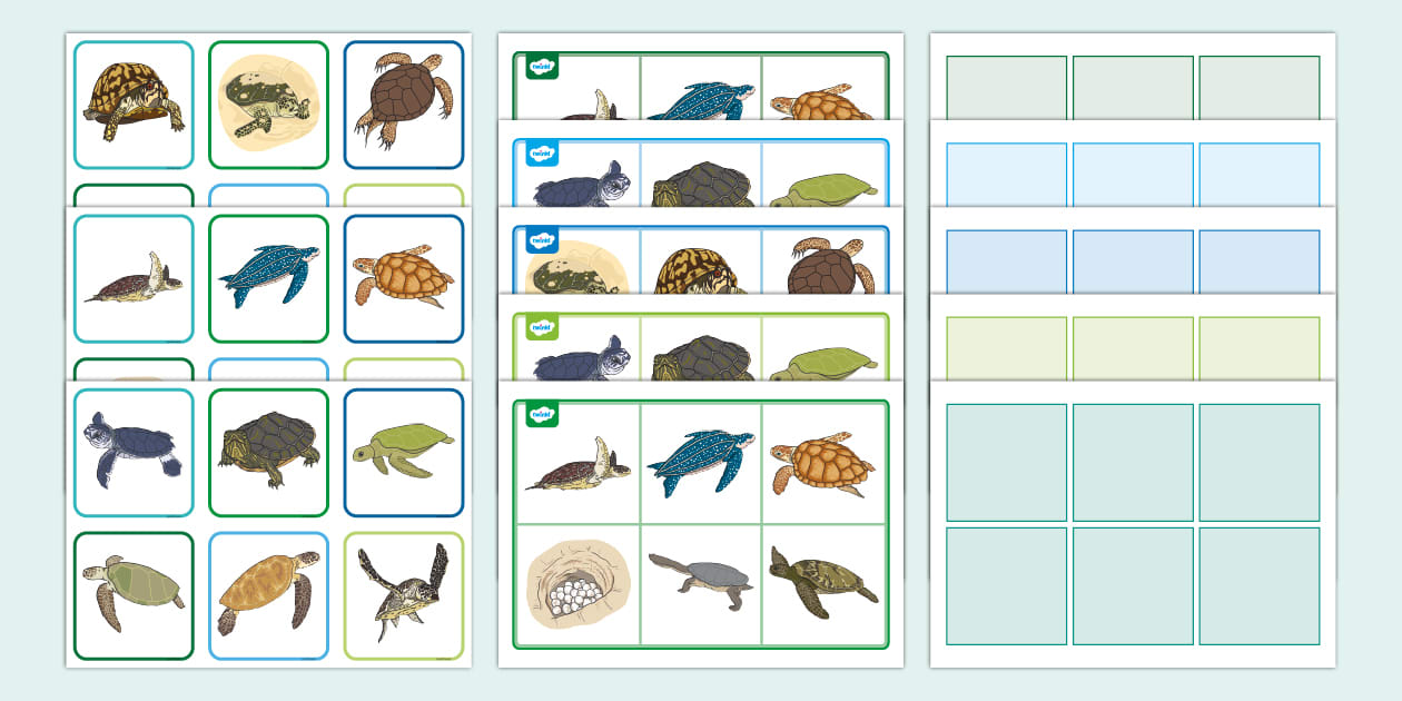 World Turtle Day Bingo (teacher made) - Twinkl