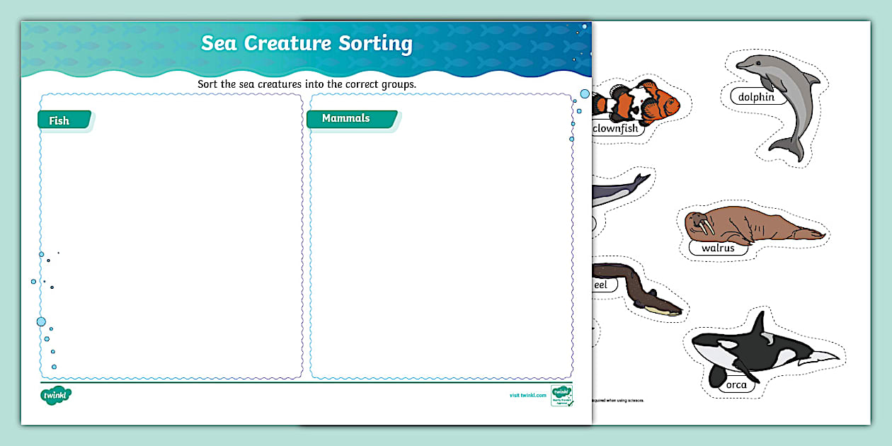 * NEW * Sea Creature Sorting Activity - Twinkl - KS1