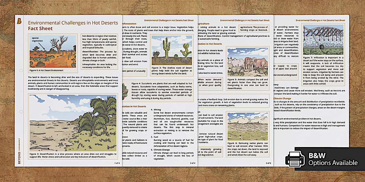 Challenges in Hot Deserts Fact Sheet | Beyond (Teacher-Made)
