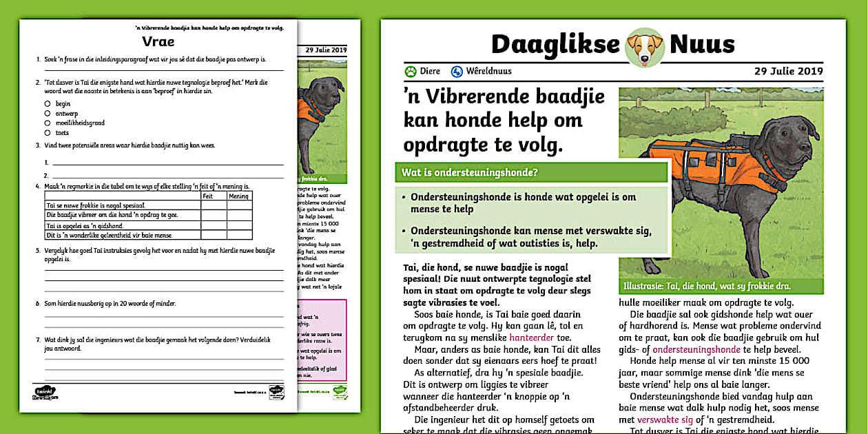 Koerantberig Voorbeeld | Begripstoets | Twinkl ZA - Twinkl