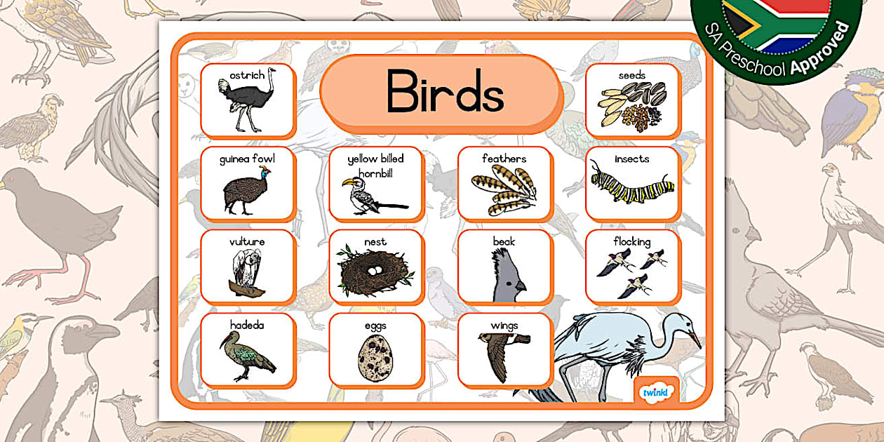 Birds: Communication Mat (teacher made) - Twinkl