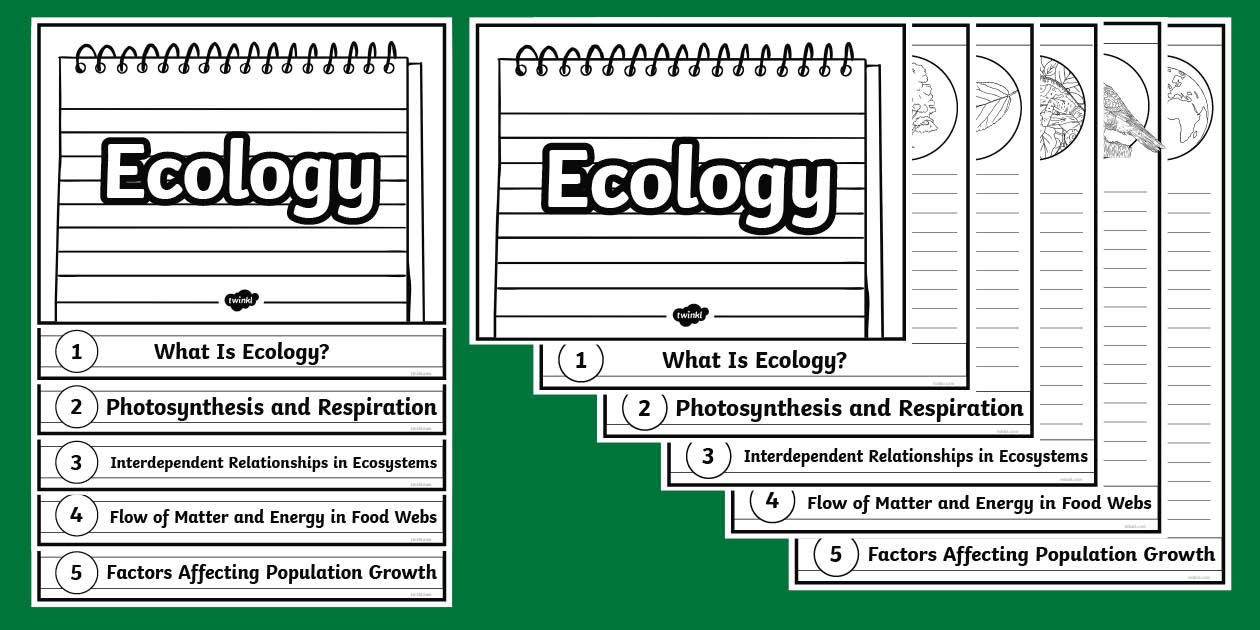 Ecology Note-Taking Flipbook for 6th-8th Grade - Twinkl