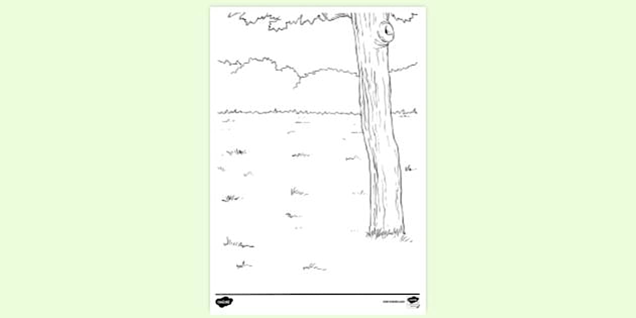 Tree Background Colouring Sheet | Colouring Sheets - Twinkl