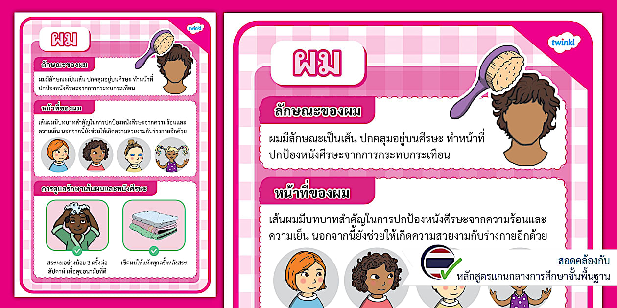 ใบความรู้เรื่องผม - สื่อการสอนวิชาสุขศึกษา