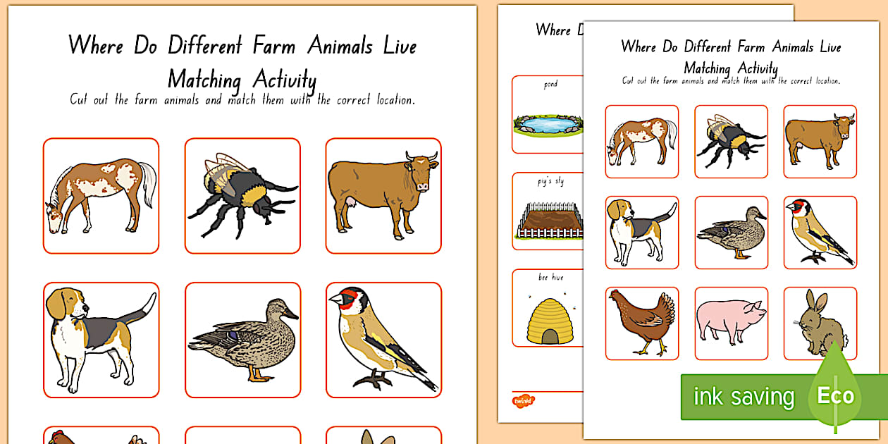 QLD Where Do Different Farm Animals Live Matching Activity
