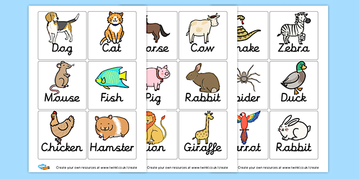 Animal Picture Cards - Teaching Resources - Twinkl