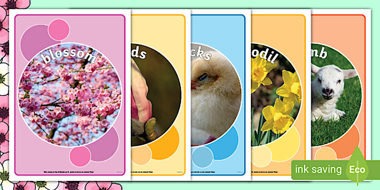 Editable Springtime Display Photo Cut Outs (professor feito)