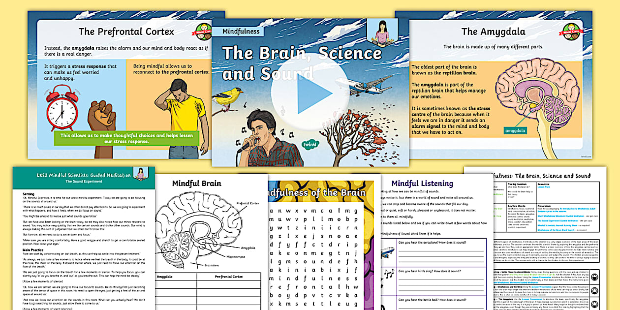 Mindfulness - LKS2 Mindful Scientists - Twinkl