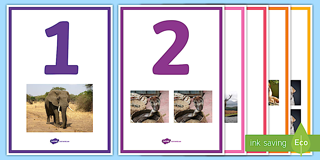 Numbers 1 to 20 Animal Display Posters (teacher made)